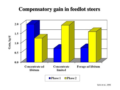 Ppt Stocker Programs Feedlot Performance And Carcass Merit