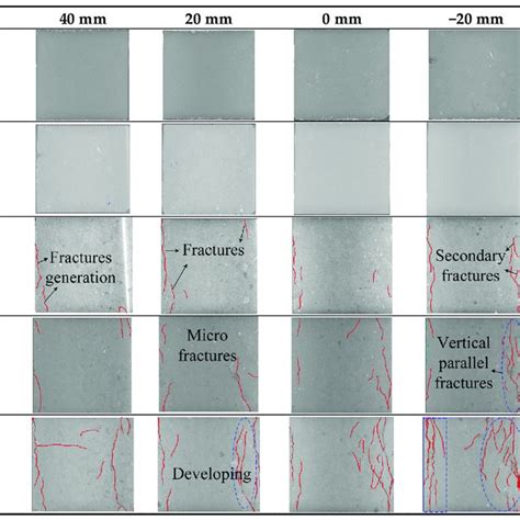 Slices Of Specimens In Different Positions A Schematic Diagram Of