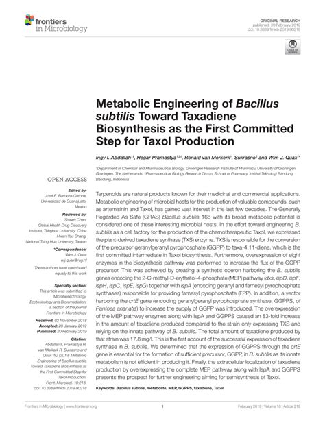 Pdf Metabolic Engineering Of Bacillus Subtilis Toward Taxadiene Biosynthesis As The First