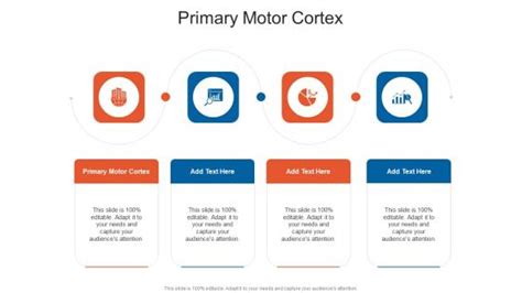 Primary Motor Cortex Powerpoint Templates Slides And Graphics