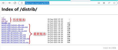 Msys2 介绍、下载与安装、pacman常用命令 Csdn博客