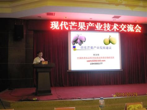 南亚热带作物研究所 服务三农 我所芒果专家在田东芒果产业交流会上建言献策