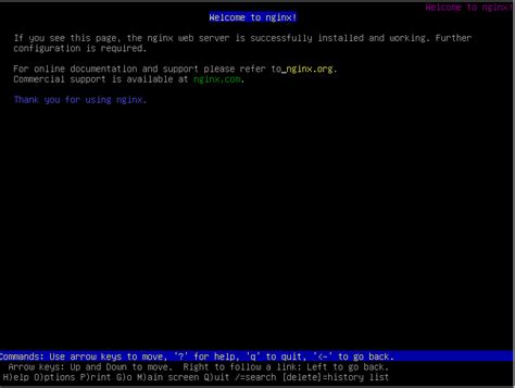 Cara Konfigurasi NGINX Debian Folderku