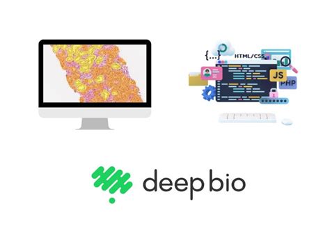 Frontend Software Engineer Deep Bio Pathology News