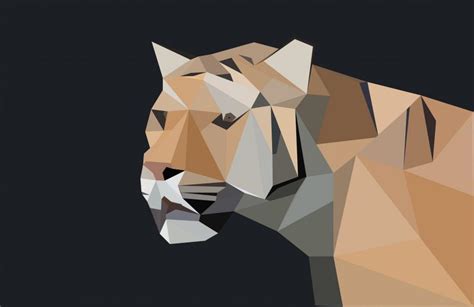 A Complete Guide To Tiger Gis Data Gis Geography