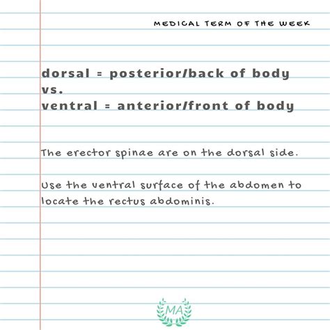 Massage Associates Llc