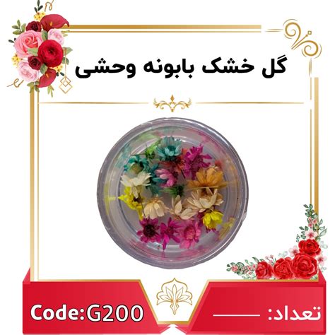 گل خشک بابونه وحشی شرکت ایده افراز باربد