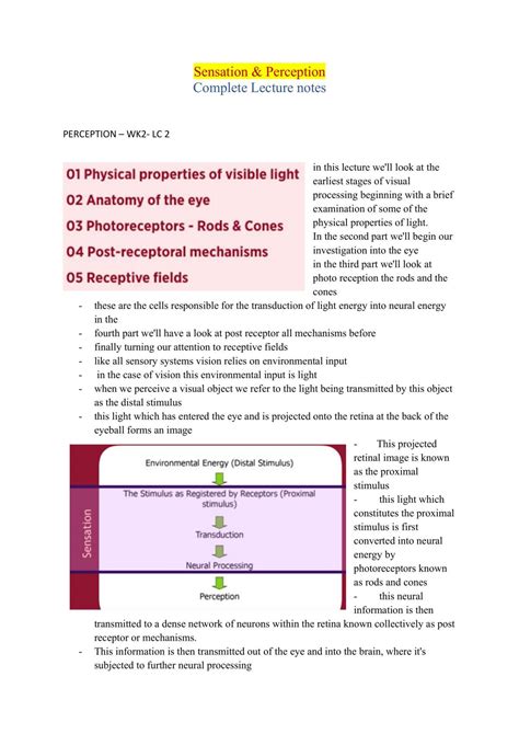 Sensation And Perception Complete Lecture Notes Behv 2010 Perception Wsu Thinkswap