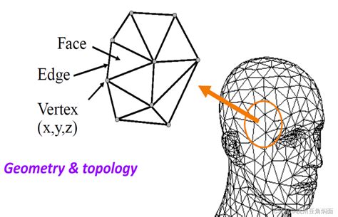 【webgl Itwinjs】理论篇一：webgl中三维模型表示方式 多边形网格 Csdn博客