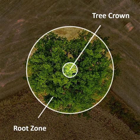 EcoCell For Tree Root Protection GeotextileMembranes Co Uk
