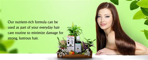 Anti Dandruff Oil At Rs 849bottle एंटी डैंड्रफ ऑयल In Ludhiana Id