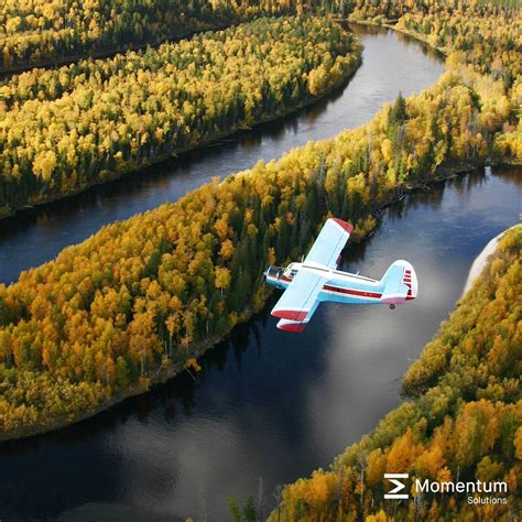 Momentum Solutions On Linkedin Happythanksgiving Gainmomentum Momentumsolutions