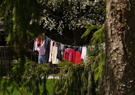 Controversial Picture CorelDRAW Graphics Suite CorelDRAW Graphics Suite