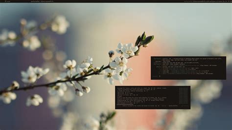 [awesomewm] My First Rice R Unixporn