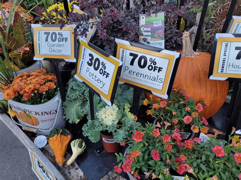 Plant Sale I Bought Soooo Many Plants😊 At The Ace Hardware On