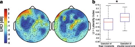 A Event Related Desynchronization Erd Topography During Motor Imagery