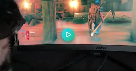 Someone Else Wants To Play Valheim Album On Imgur