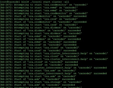 Basic Commands In Racoracle Database