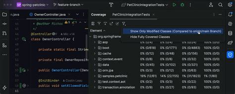 Whats New In Intellij Idea 20242