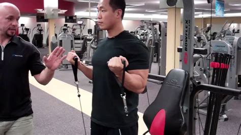 Bowflex Xtreme Arm Workouts Eoua Blog