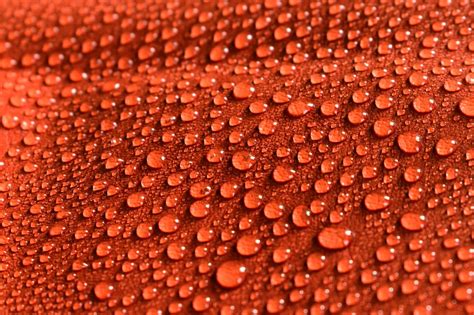 What Is A Data Scientist Splunk