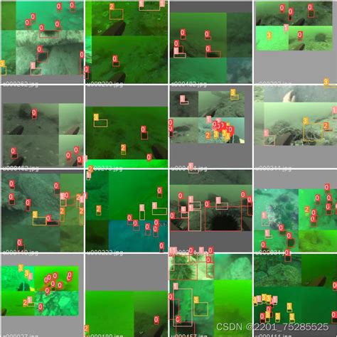 Yolov3 Yolov4 Yolov5 Yolov6 Yolov7 Lite Fastdet Efficientdet各系列模型开发、项目交付、组合改造创新之—水下海底生物检测系统设计开发