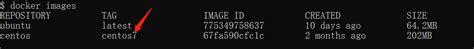Docker 安装 Centos极客笔记