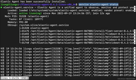Observability：使用 Elastic Agent 来进行 Uptime 监控elastic Agent Api Csdn博客