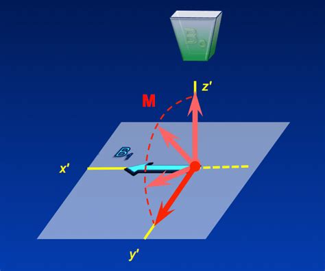 rotating frame questions and answers in mri