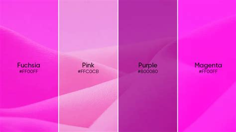 Apa Itu Warna Fuschia Asal Usul Hingga Maknanya Dalam Fashion Dan