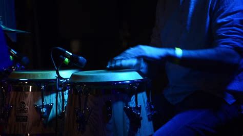 237 Bongo Player Stock Videos Footage And 4k Video Clips Getty Images