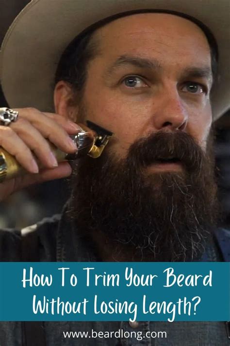 Trimming Your Beard Artofit