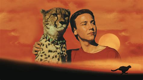 Cheetah Disney