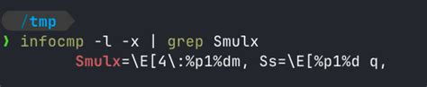 How To Enable Undercurl In Neovim Terminal And Tmux Setup Guide DEV