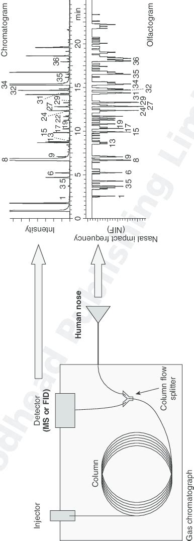 1 Schematic Of Gc O Analysis Download Scientific Diagram