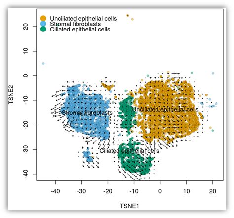 单细胞rna速率分析2r语言版rna速率分析分析及可视化rna速率分析结果可视化r语言 Csdn博客