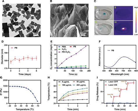 Figure 1 From Nanozyme Hydrogels For Self Augmented Sonodynamic