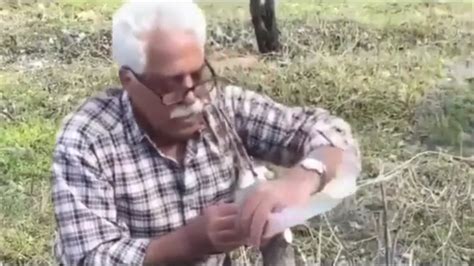 استاد فرج علیپور در باغ شخصی، لری، پیر که بیم کور که بیم نماشا