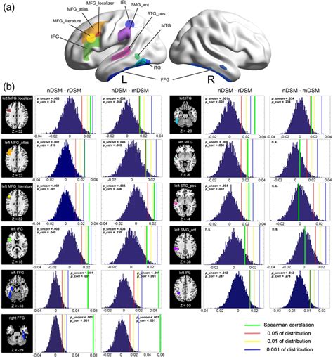 Permutation Tests For Roi‐based Representational Similarity Analysis