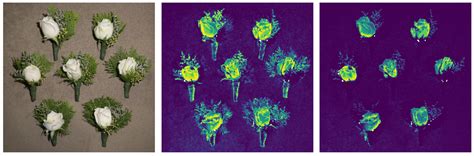 image segmentation part 2 rg chromaticity by ralph caubalejo