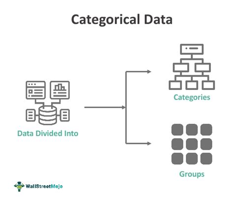 Categorical Data What Is It Examples Types Vs Numerical Data