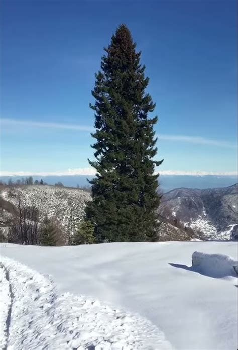 ბახმარო 2021 Youtube