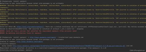 Importerror Missing Optional Dependency ‘openpyxl‘importerror