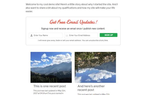 Wordpress Static Homepage How To Set It Up