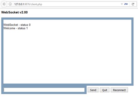 Owasp Top 10 Details About Websocket Vulnerabilities And Mitigations Securelayer7 Offensive