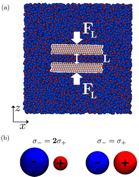 Md Simulations A Snapshot Of The Asymmetric Il Immersing Two Charged Download Scientific