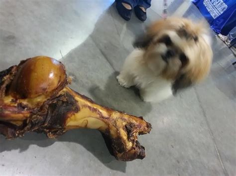 The Chew She Picked She Wouldnt Stop Dancing She Was So Excited Scrolller