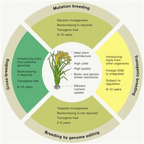 5g育种技术之植物性状订制 知乎