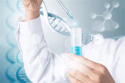 高分子材料开发