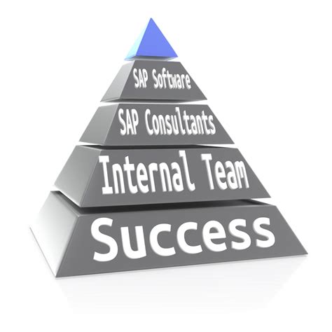 How To Plan Your Sap Project Resource Requirements Consultation